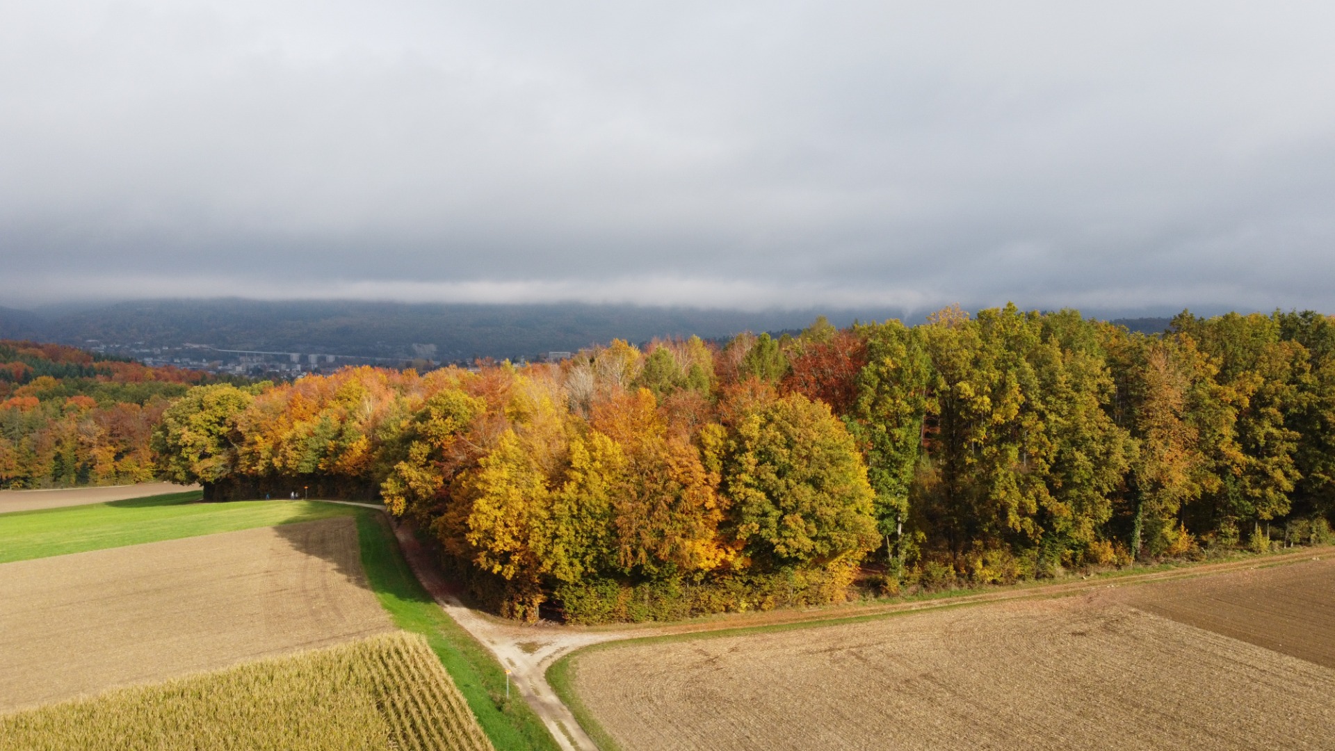 Der Herbst hat Einzug gehalten